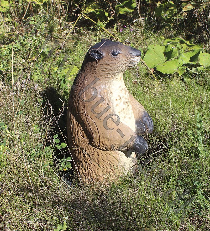 Murmeldyr - 3D dyr og reperation - Andersen's Jagt-Grej